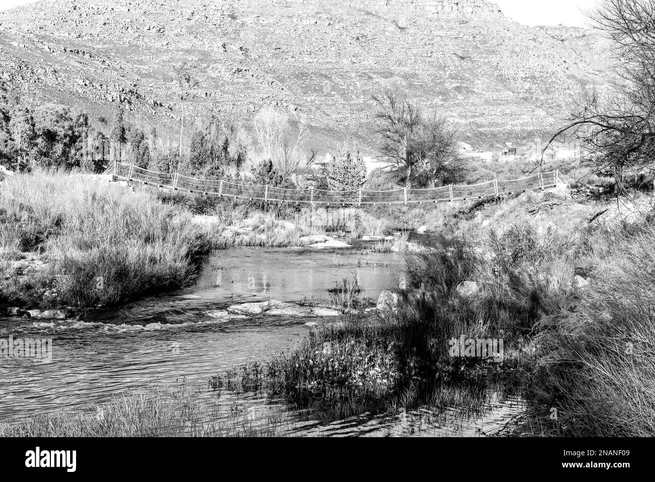 Pedestrian bridge over the Krom River at Kromrivier Cederberg Park in ...