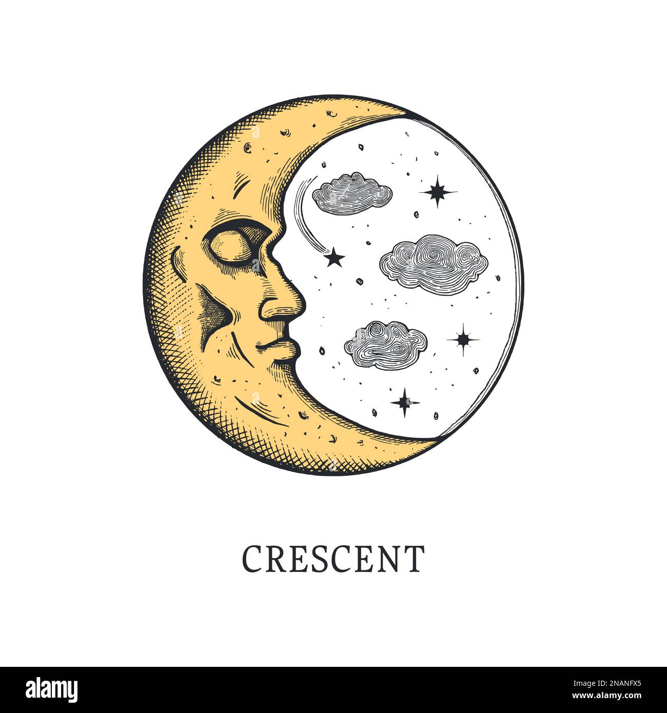 Crescent vector illustration. Moon Stock Vector Image & Art - Alamy