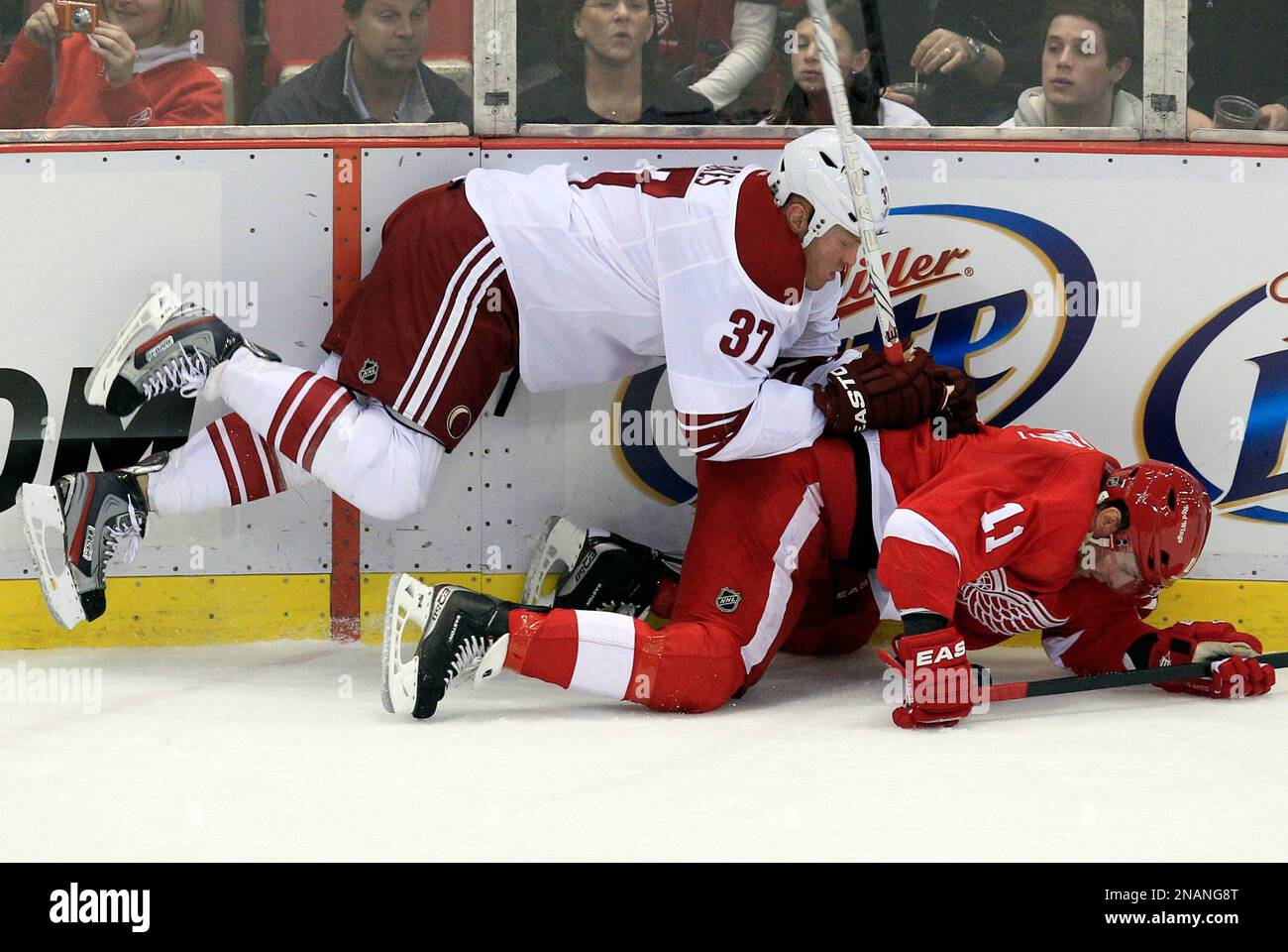 Phoenix Coyotes left wing Raffi Torres (37) checks Detroit Red Wings ...