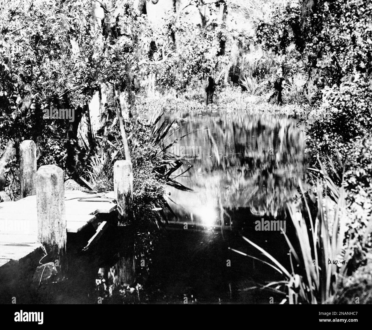The Louisiana swamp set for the climatic scenes in “Dark Waters” is ...