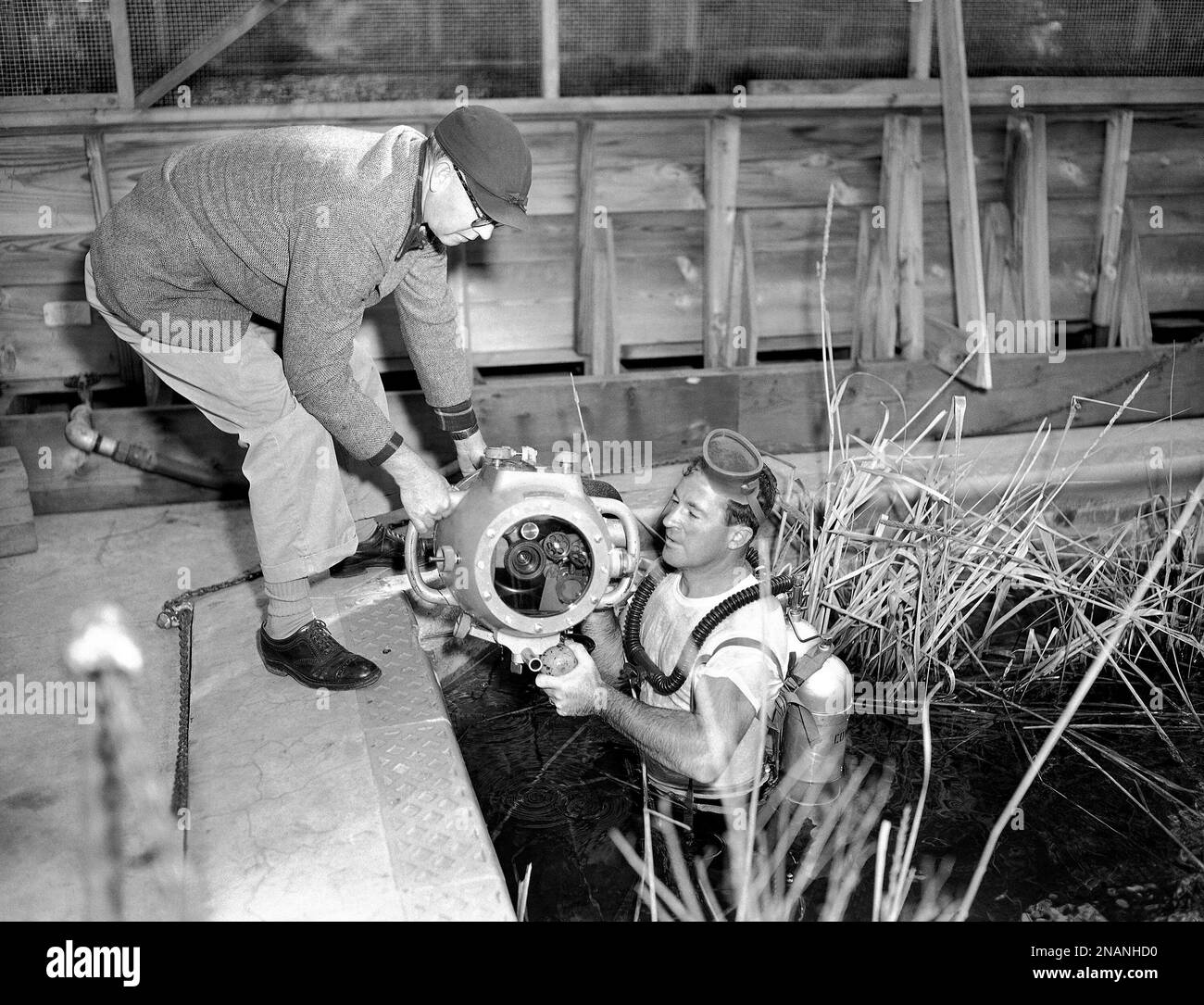 Till Gabbani, veteran cameraman is shown surfacing in a Hollywood Fox ...
