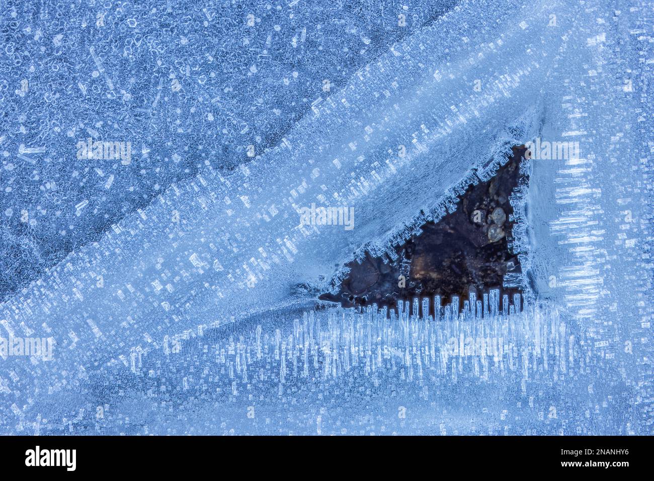 Close-up of frost textures on the ground. Frost needles Stock Photo - Alamy