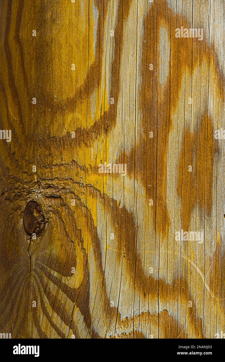Highly Detailed Wood Grain with wooden knob and striations Stock Photo ...