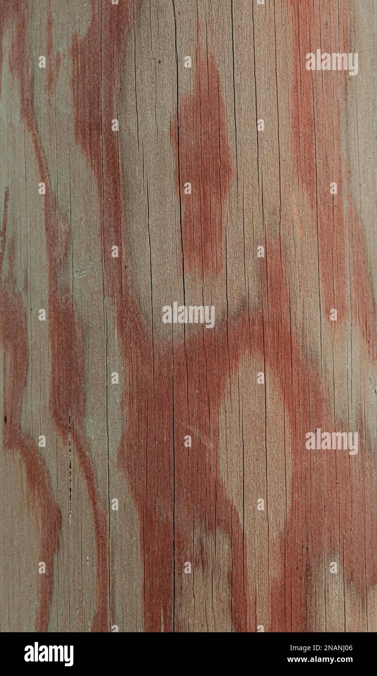 Highly Detailed Wood Grain with wooden knob and striations Stock Photo ...