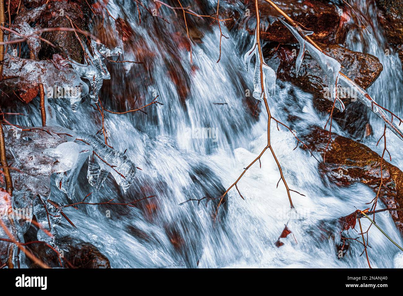 Ice forming around branch by river waterfall in first winter days Stock ...