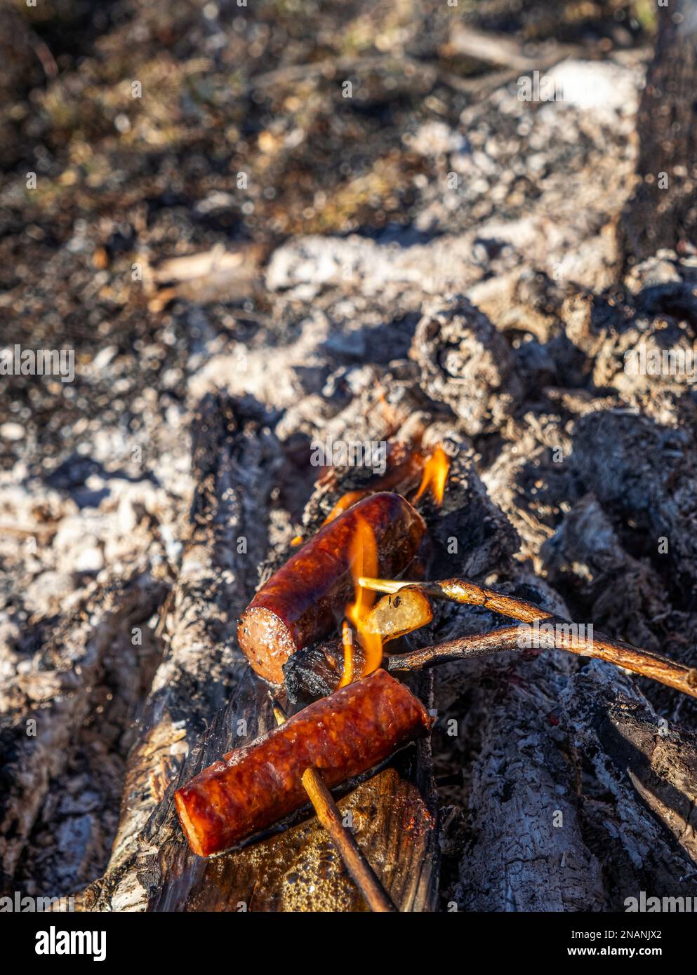 fried bacon and sausage on stick, slanina,traditional food in Romania ...