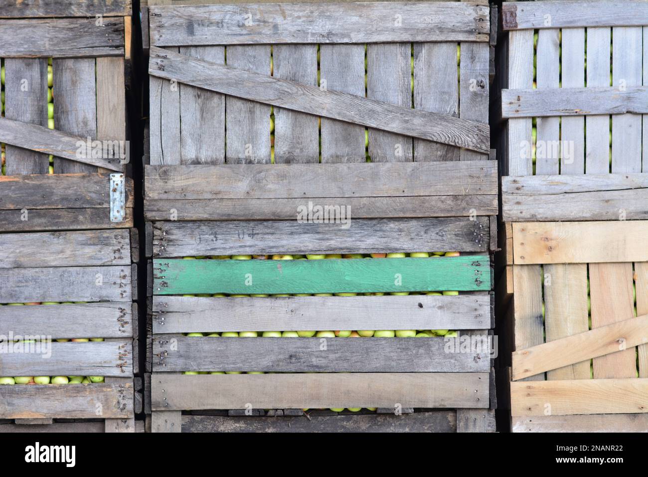 Apple picking crates Stock Photo - Alamy