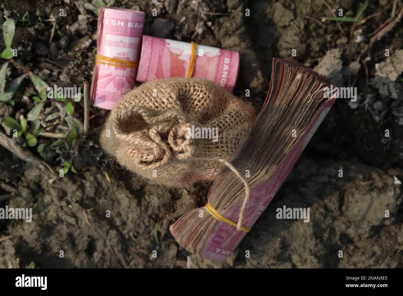 money bag on paddy farm are cash crops Stock Photo - Alamy