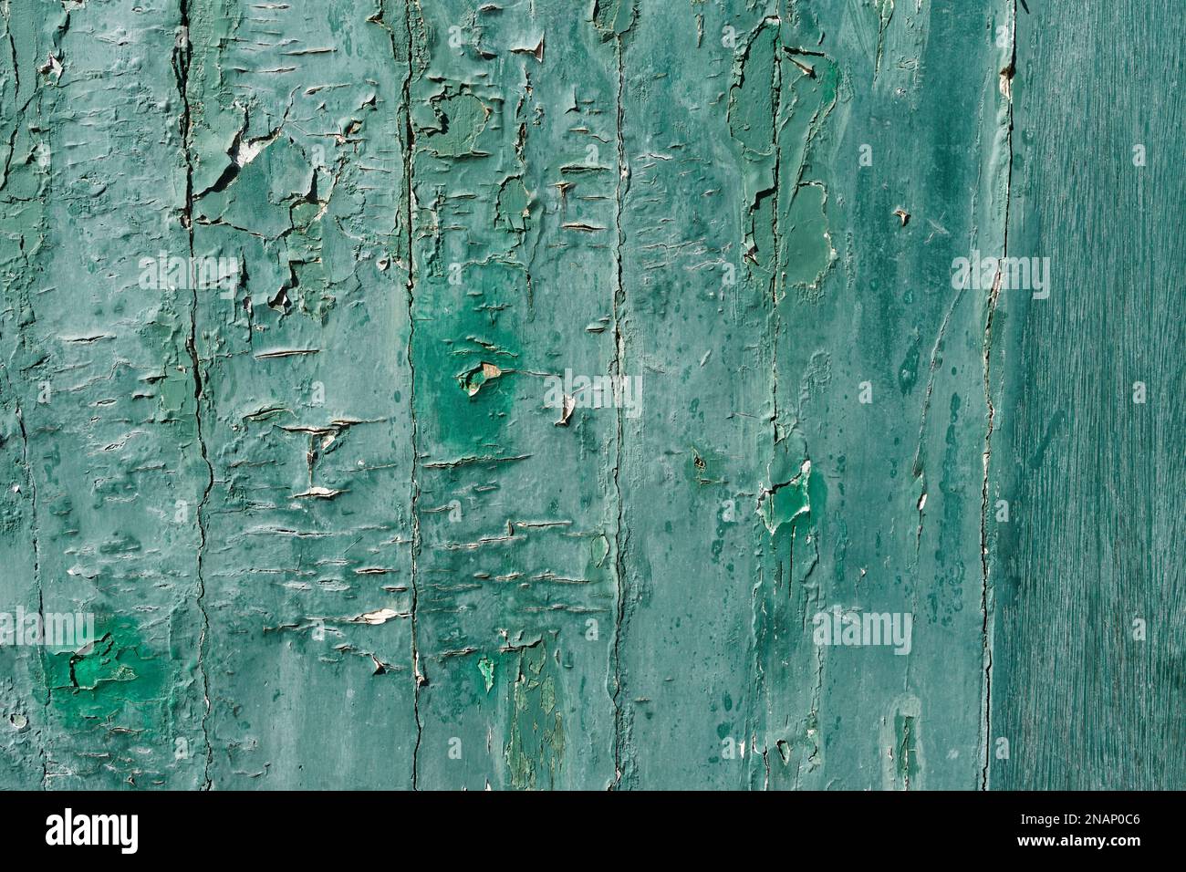 Old cyan blue wooden plank door with texture and part of the peeled ...