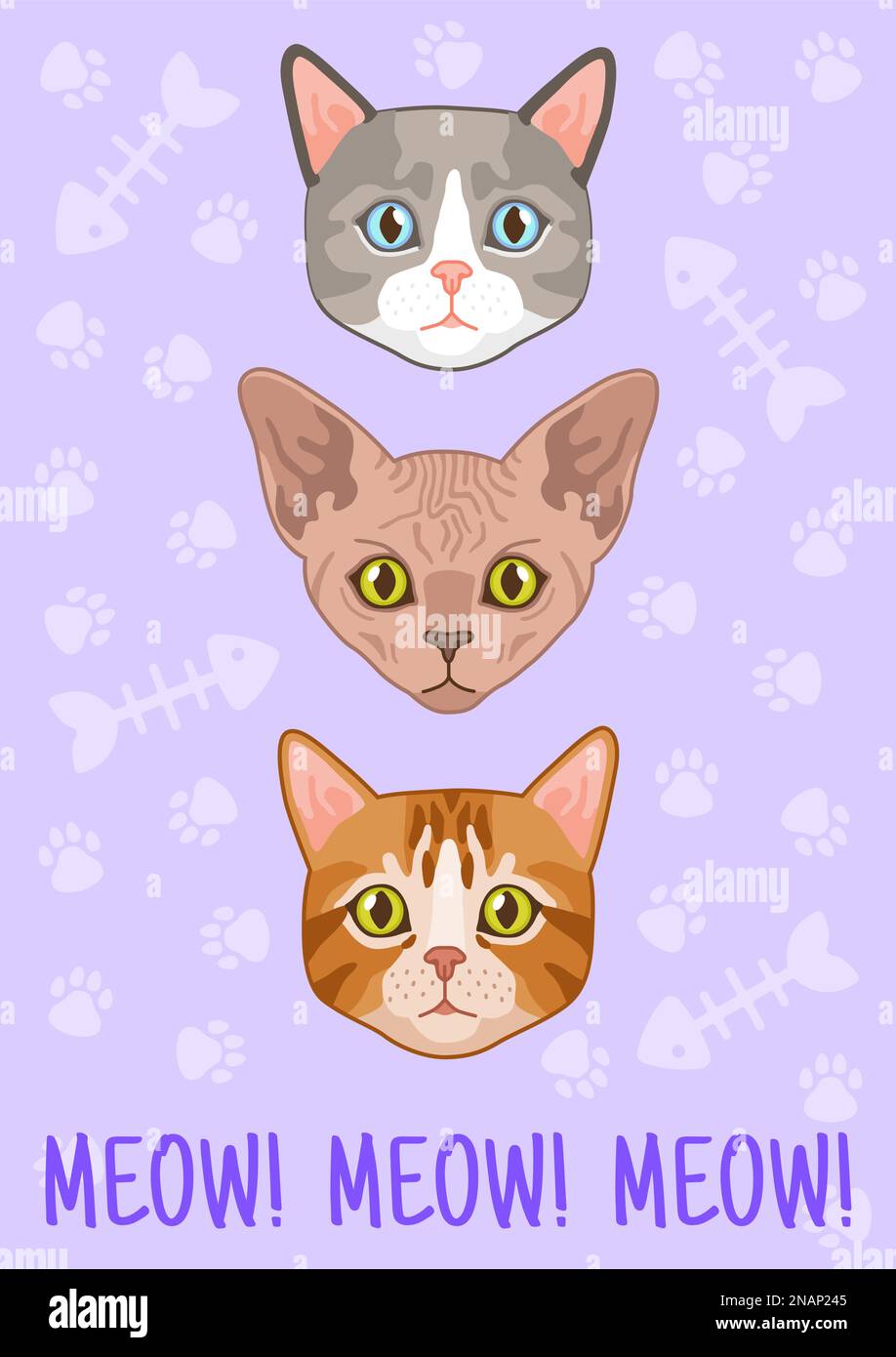 Contemporary Kitten Print