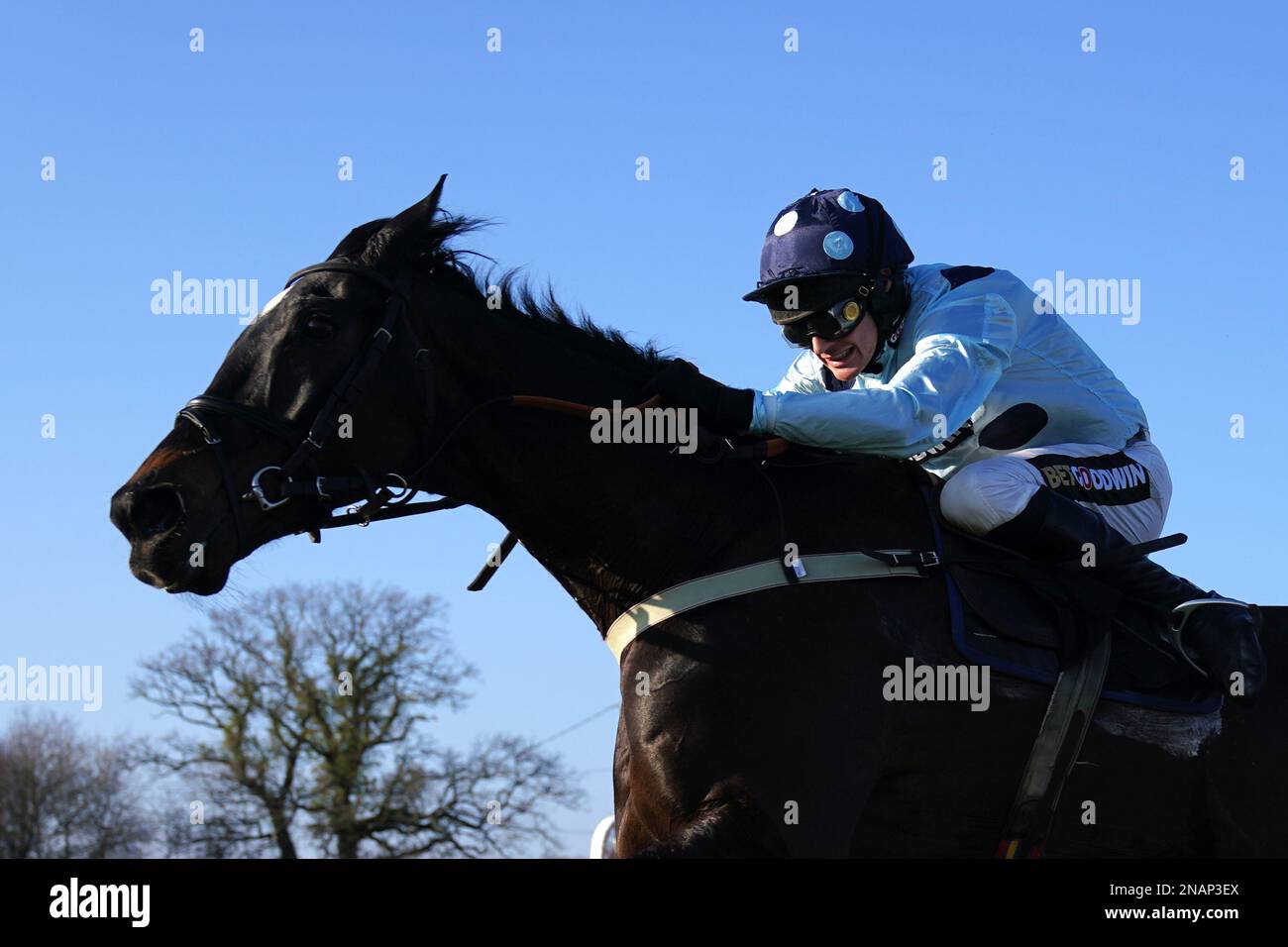 Lord baddesley horse hi-res stock photography and images - Alamy