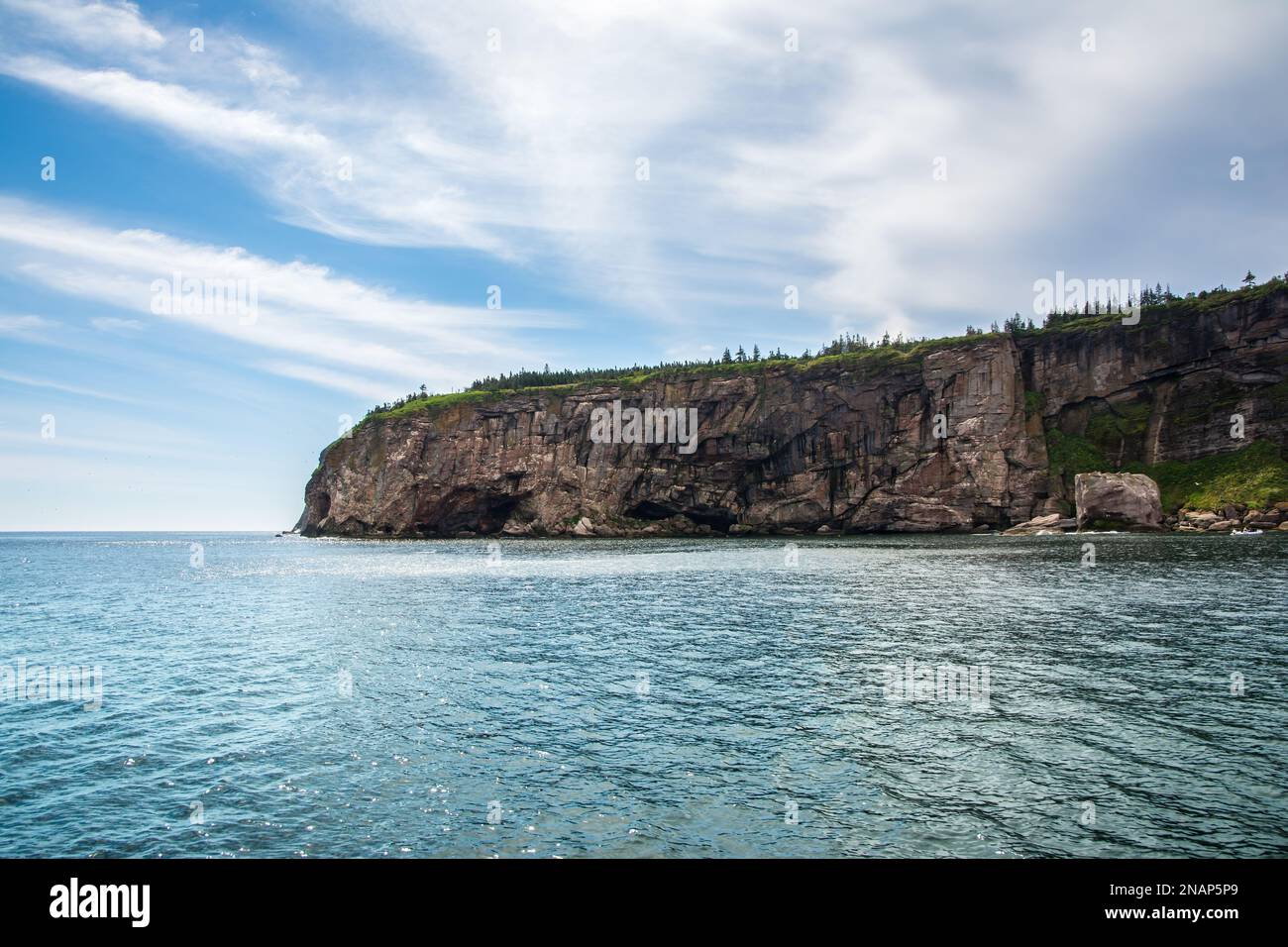 View of Bonaventure island, a protect island in the Gulf of Saint ...