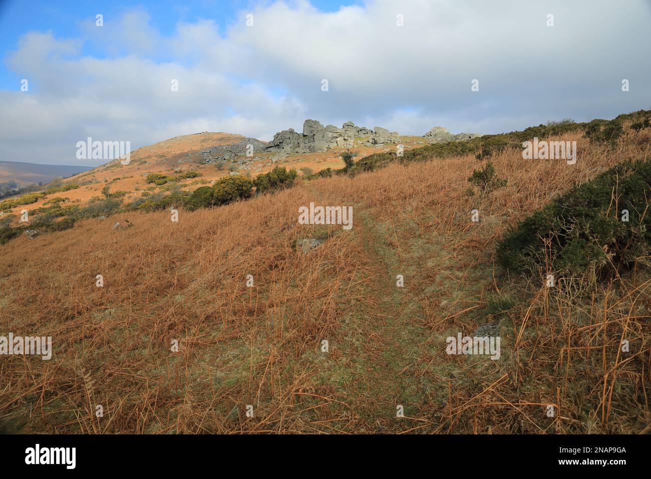 View of Bonehill rocks near Widecombe, Dartmoor, Devon, England, UK ...