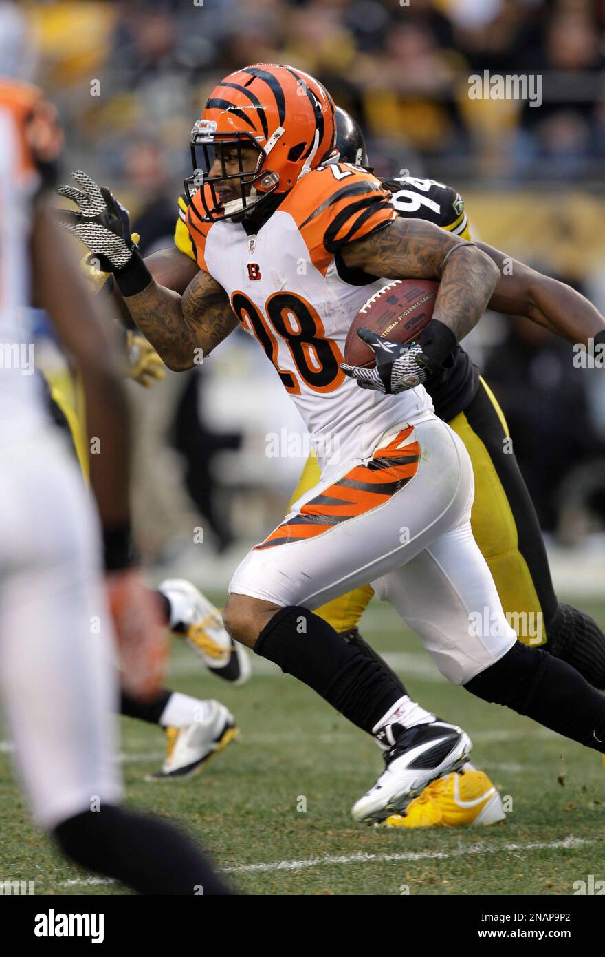 Cincinnati Bengals running back Bernard Scott (28) runs p[ast ...