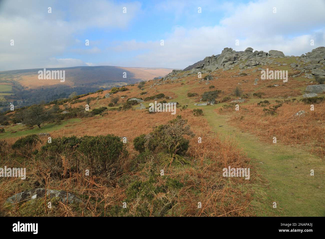View of Bonehill rocks near Widecombe, Dartmoor, Devon, England, UK ...