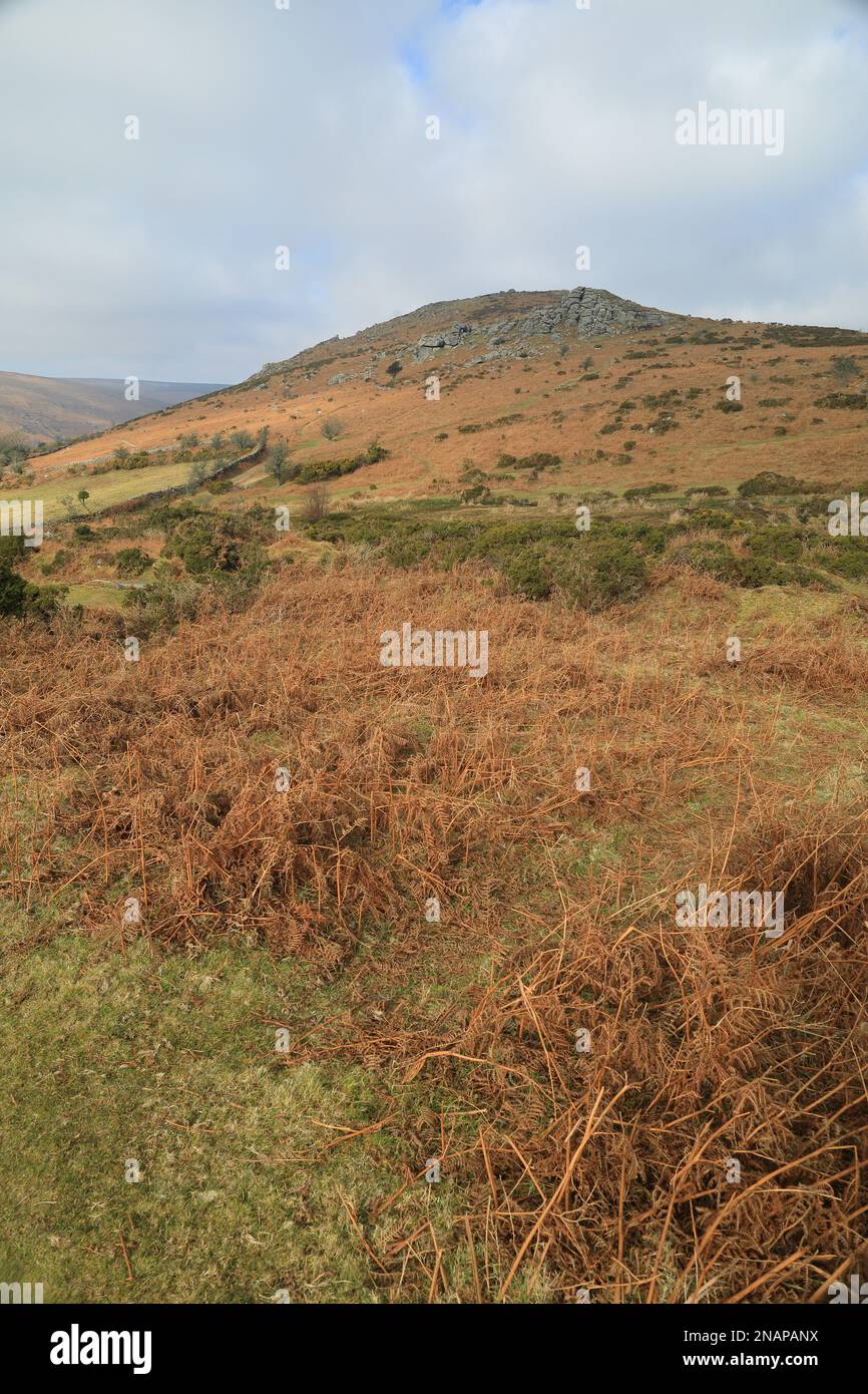 Bell tor, near Widecombe, Dartmoor, England, UK Stock Photo - Alamy