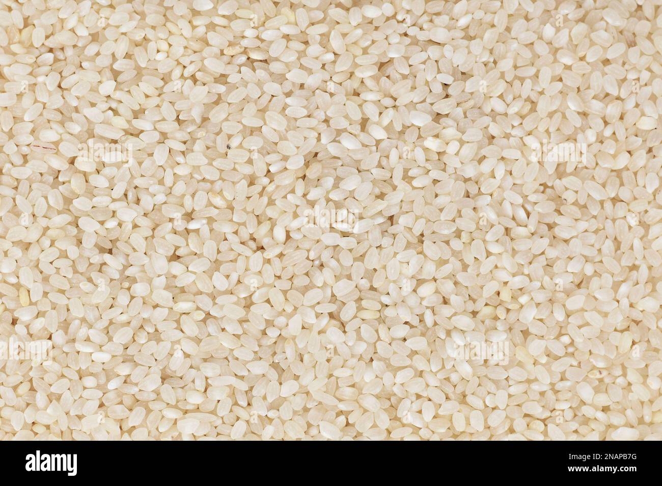Short grain rice hi-res stock photography and images - Alamy