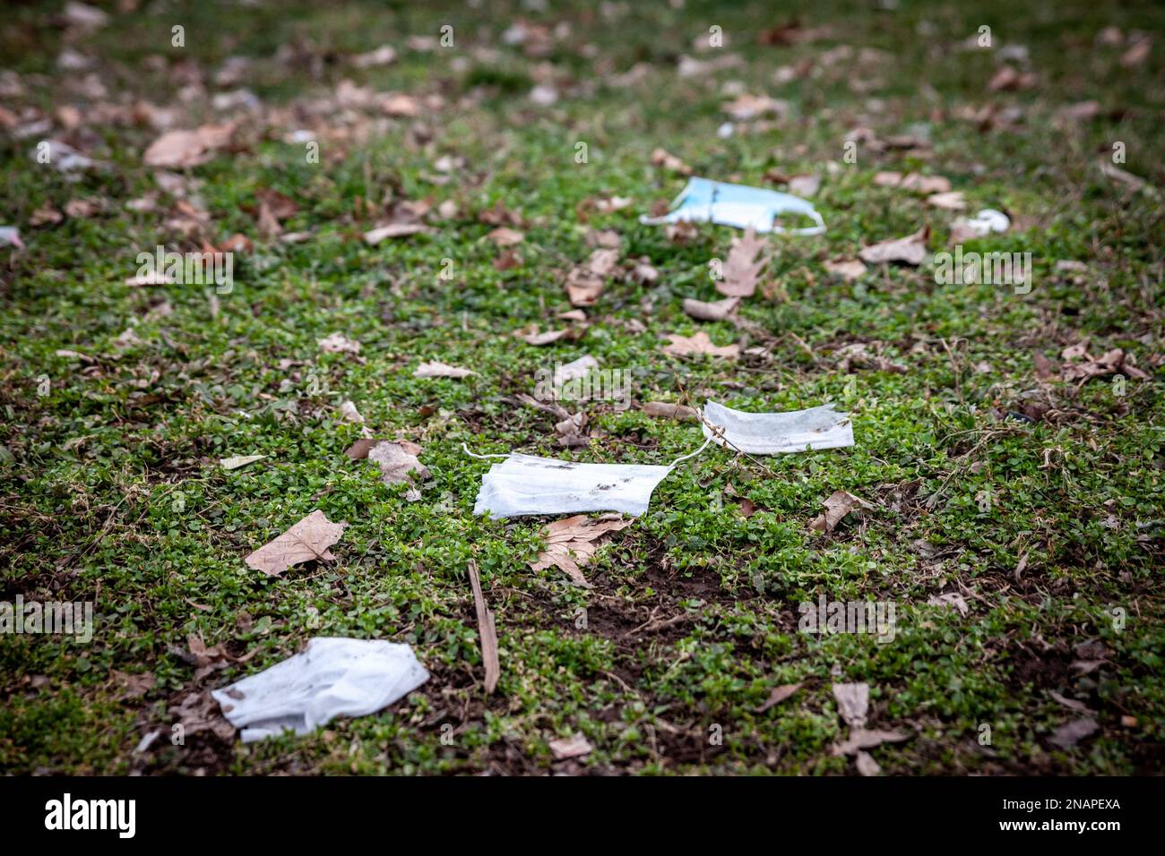 Picture of an old disposable face masks on the ground, outdoor, during ...