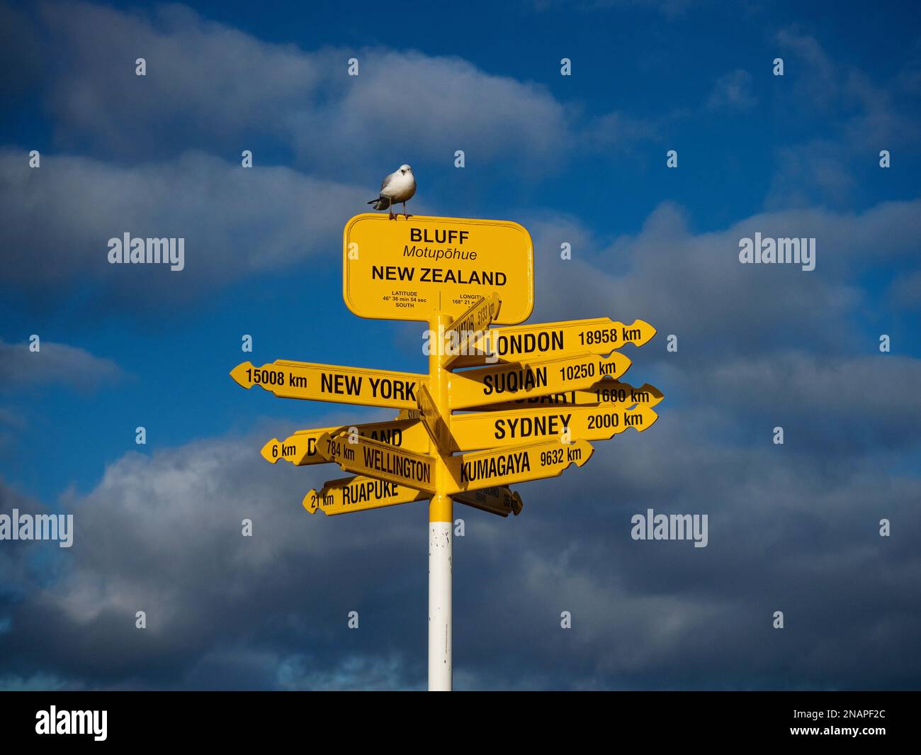 Seagull sitting on famous yellow worldwide destination distance ...