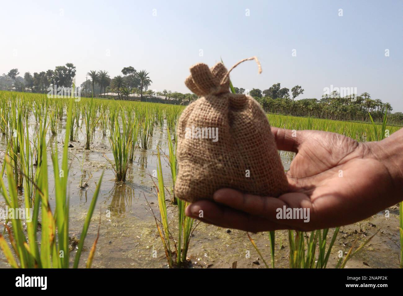 Bag on hand hi-res stock photography and images - Alamy