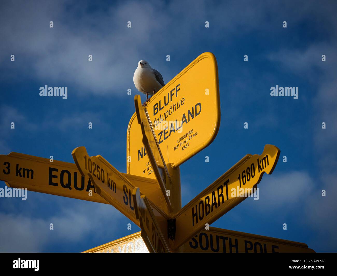 Seagull sitting on famous yellow worldwide destination distance ...