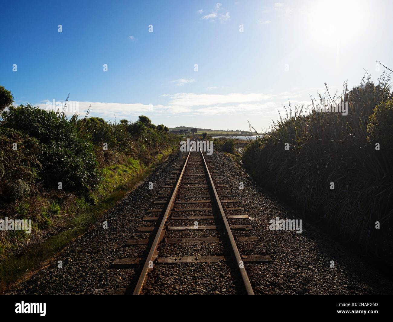 Centered historical rusty iron steel railway train tracks with bush ...