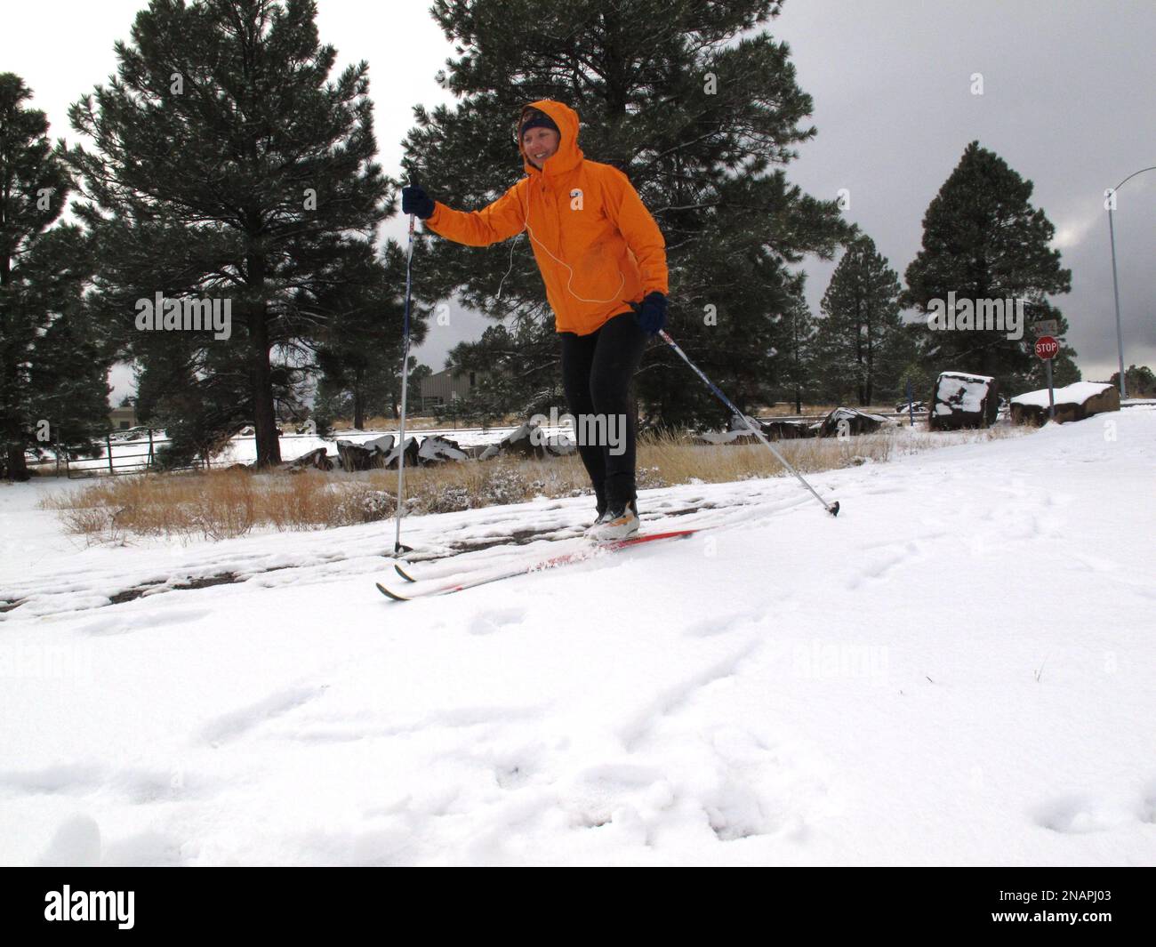 Michelle Beaudreau skis through a park, Friday, Dec. 2, 2011, in ...