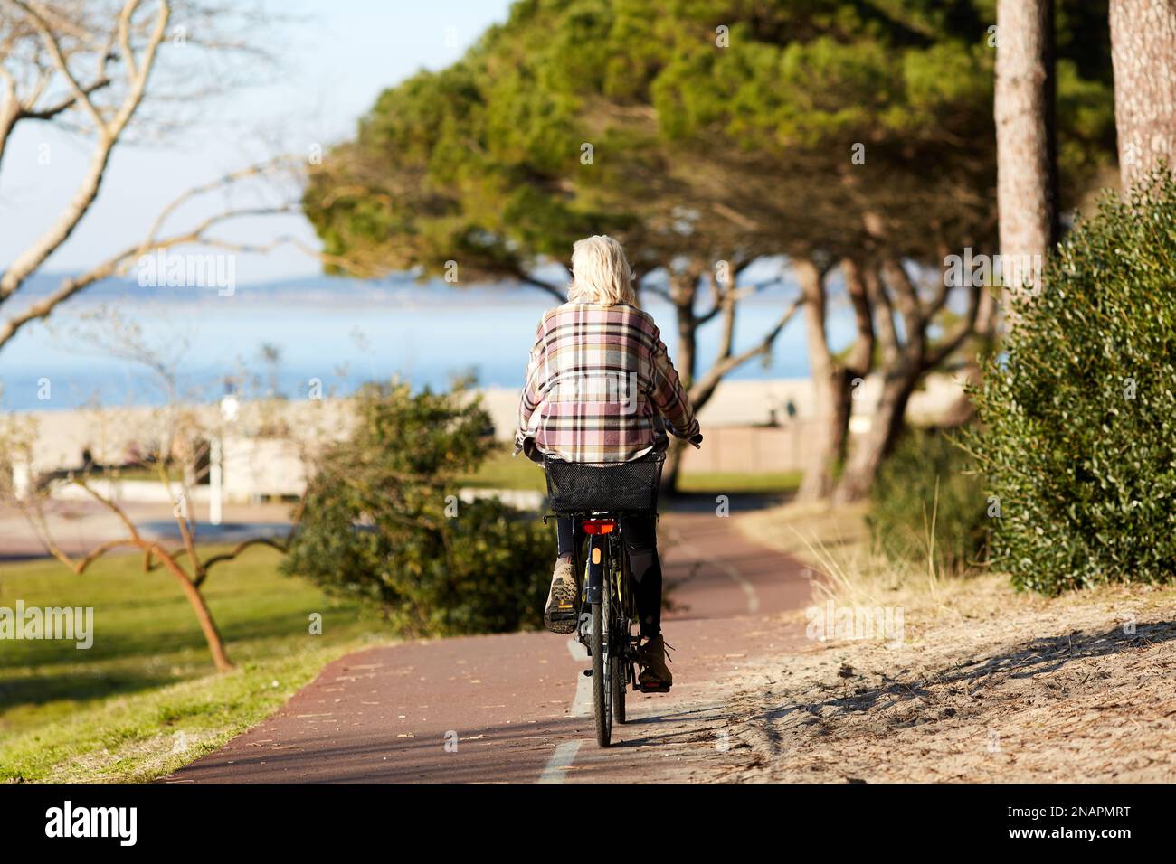 Person riding a bicycle on a cycle path Stock Photo - Alamy