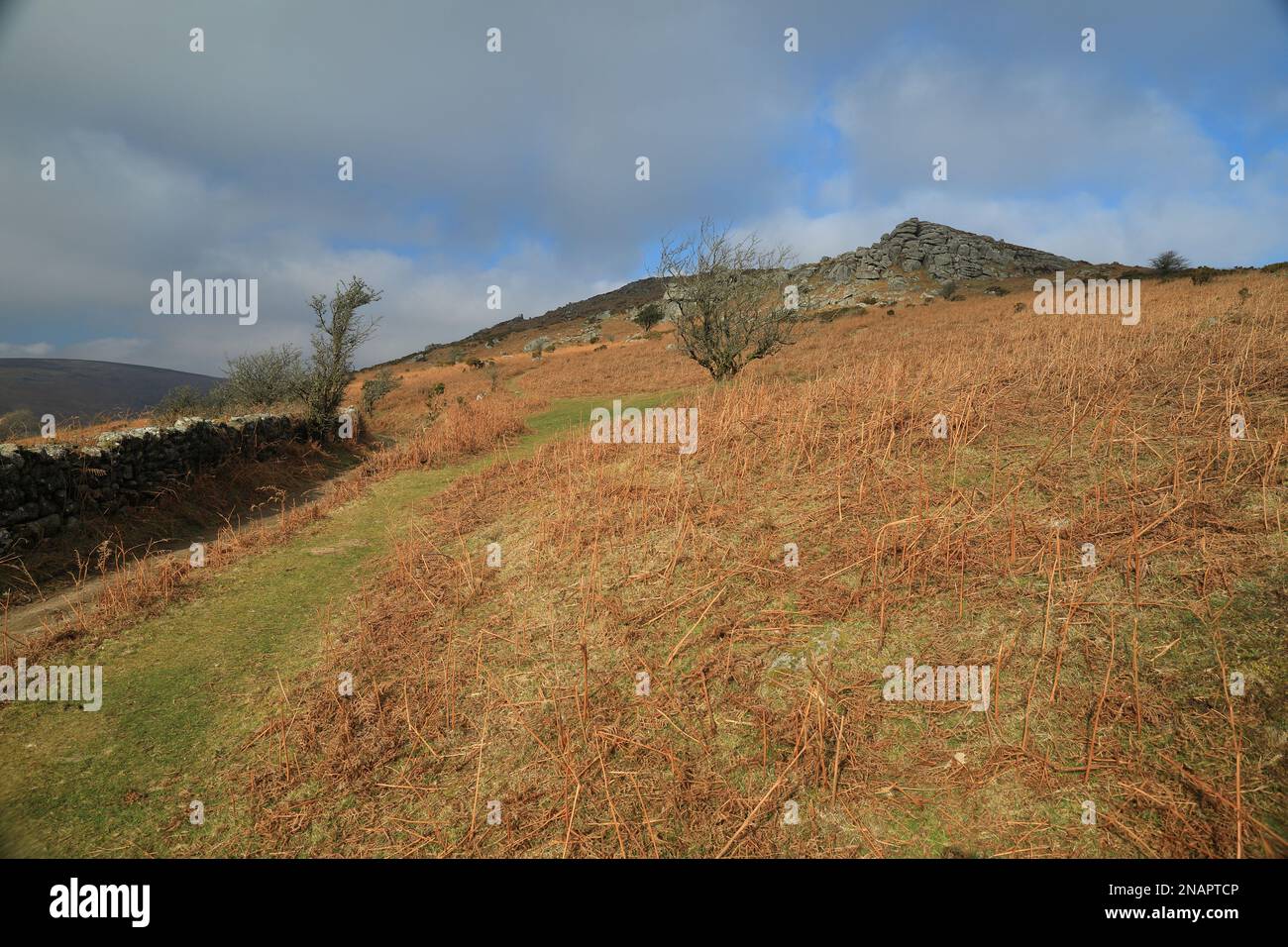 Bell tor, near Widecombe, Dartmoor, England, UK Stock Photo - Alamy