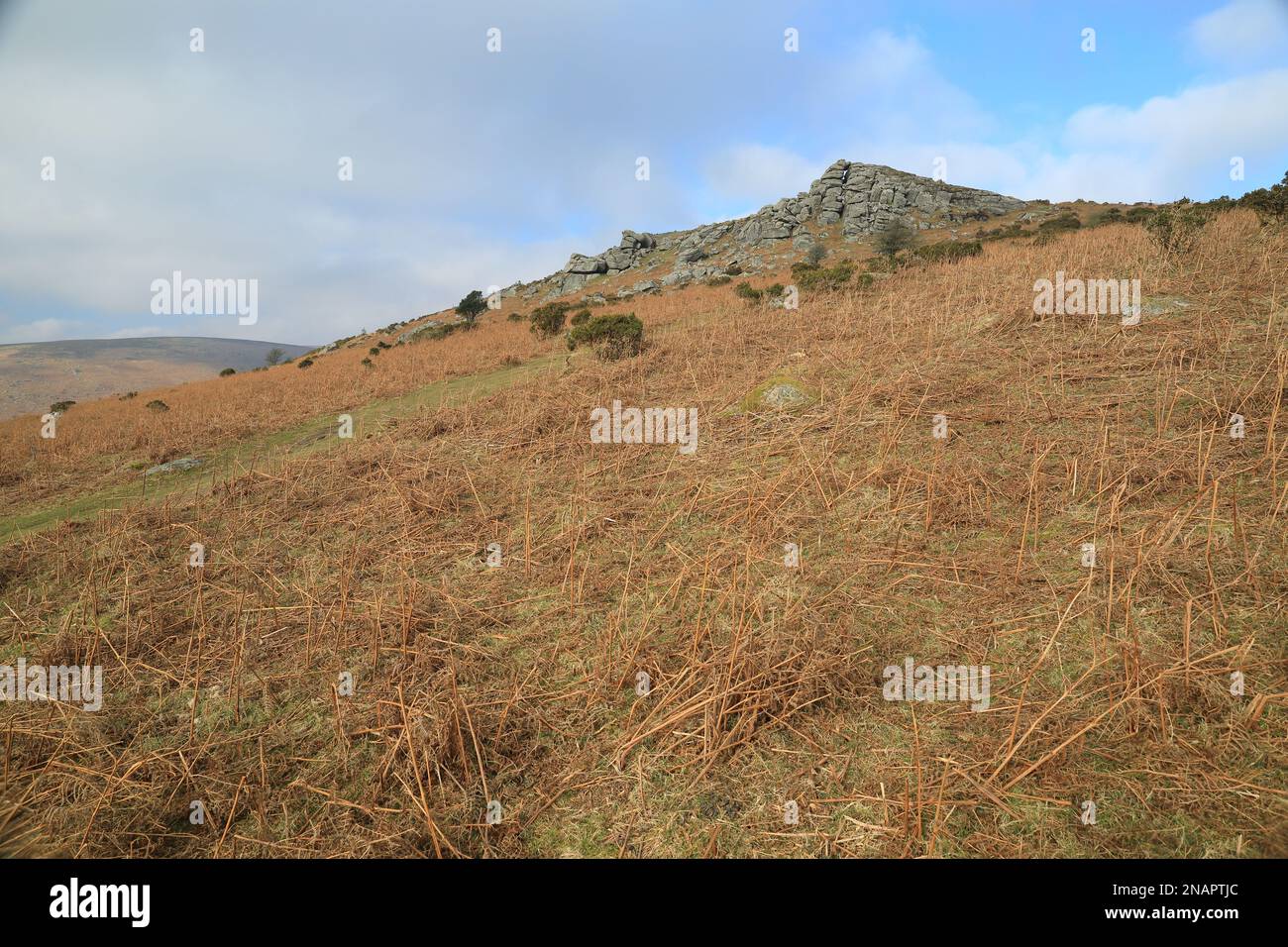 Bell tor, near Widecombe, Dartmoor, England, UK Stock Photo - Alamy