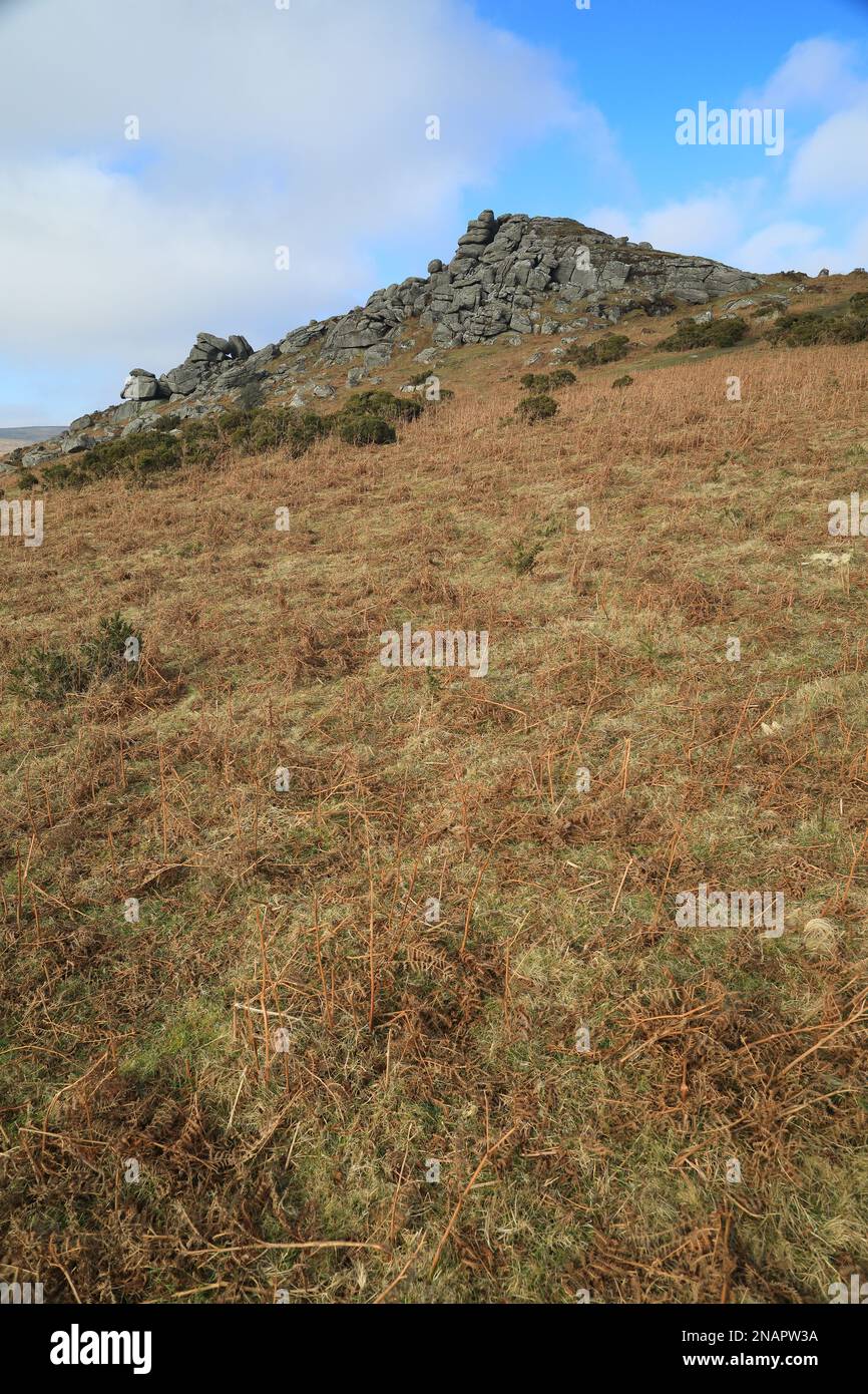 Bell tor, near Widecombe, Dartmoor, England, UK Stock Photo - Alamy