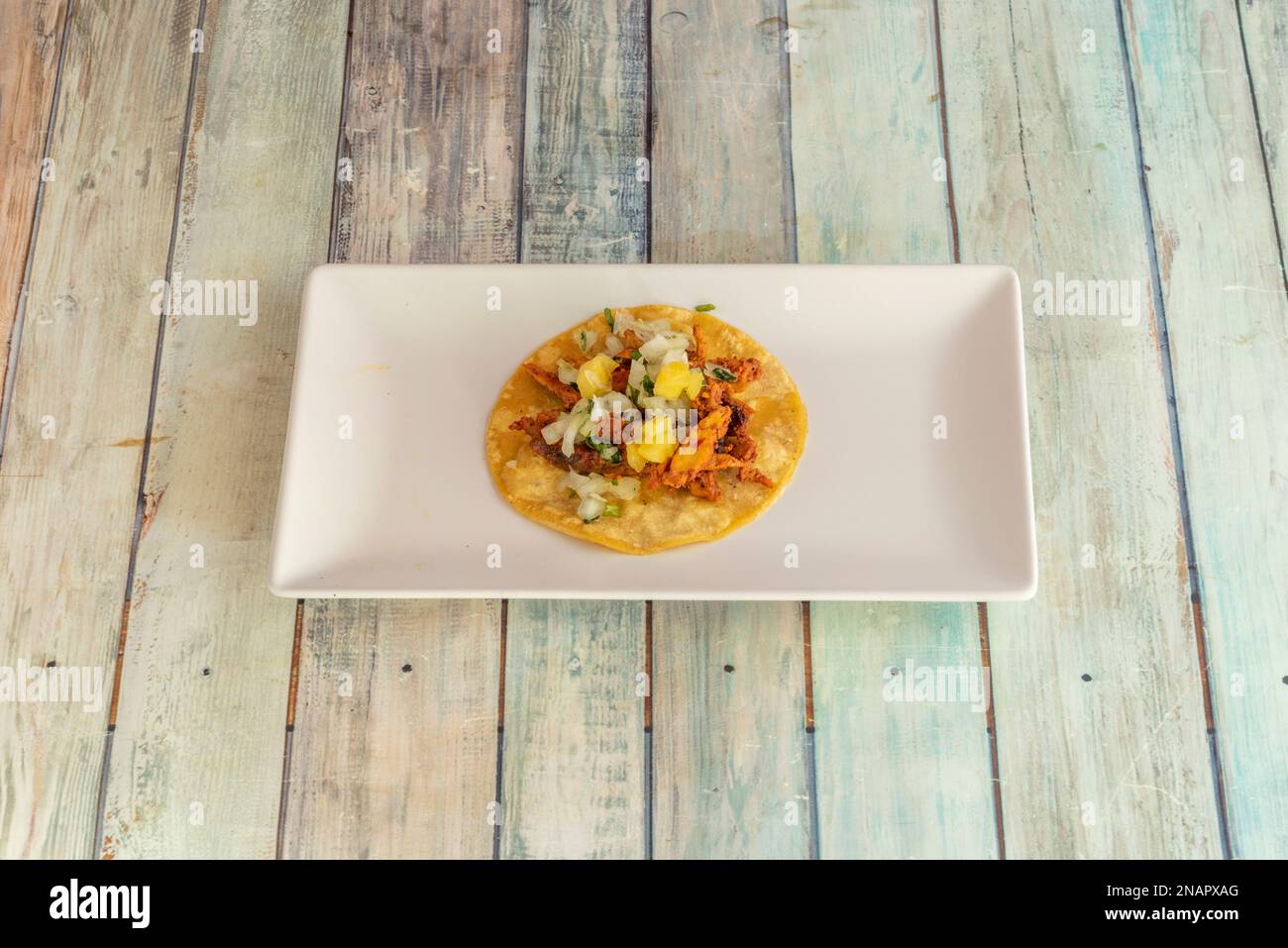 A sample white platter of a Mexican beef al pastor taco on a corn flour ...