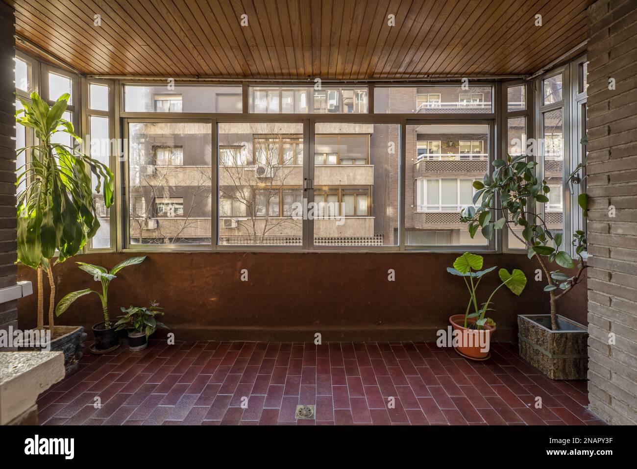 Glazed terrace of a house with reddish stoneware floors, indoor plants ...