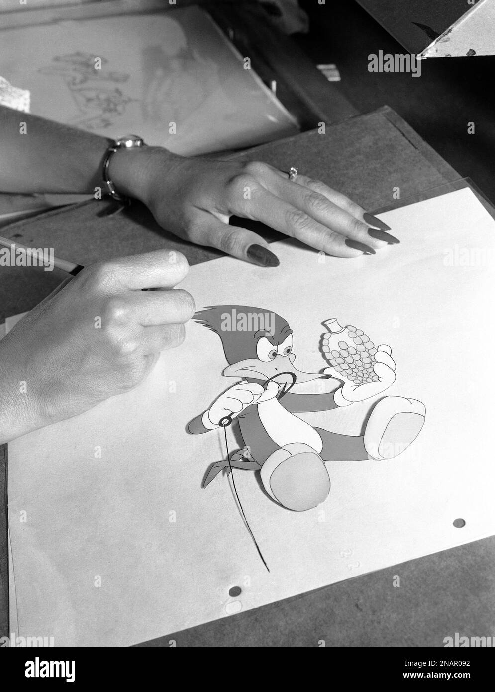 Georgette Jean works on a drawing of Woody Woodpecker, beloved ...