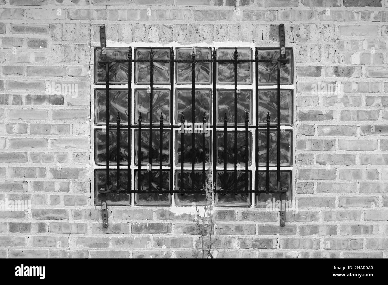 A wrought iron metal security fence protecting a glass block window ...