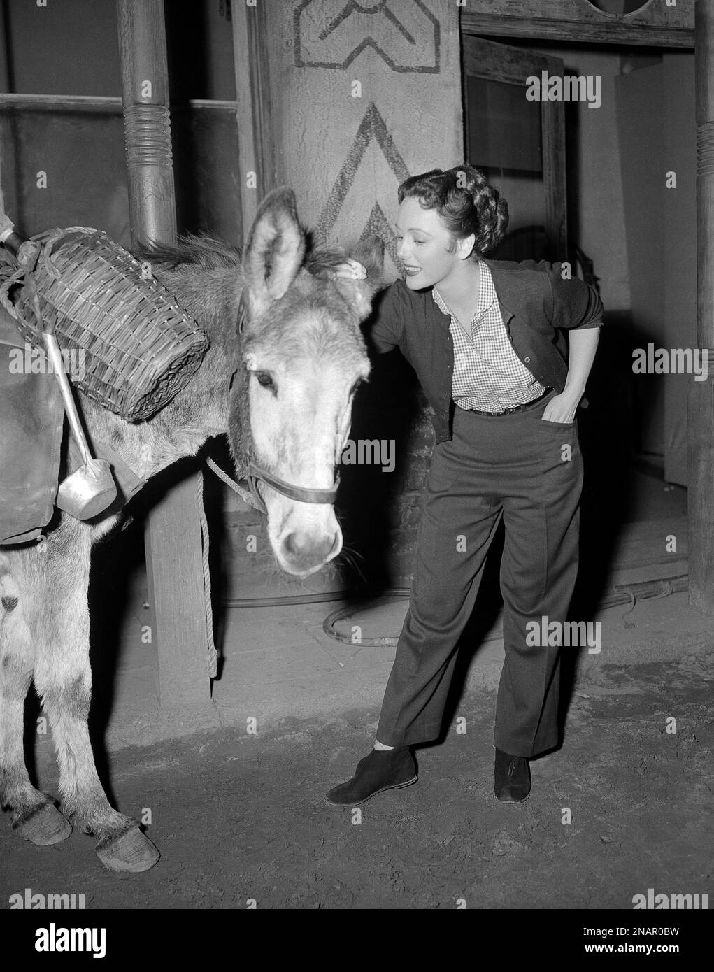 Singer Lina Romay tries a melody on “Dottie,” a mule who is also a ...
