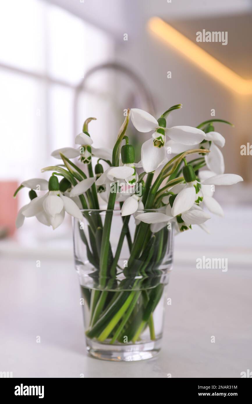 Beautiful snowdrops in vase on countertop indoors Stock Photo - Alamy