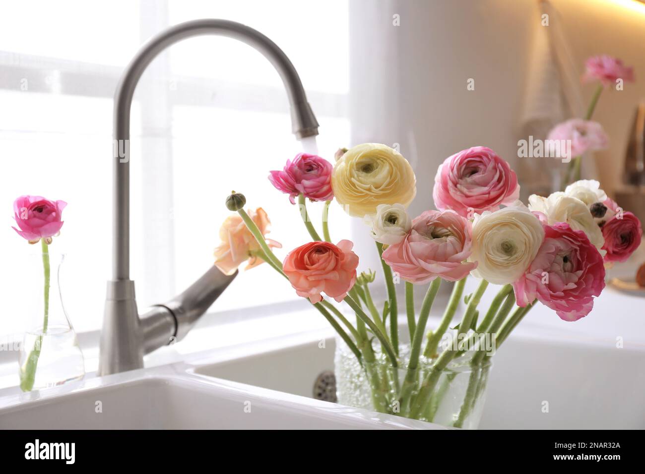 Beautiful fresh ranunculus flowers in kitchen sink Stock Photo - Alamy
