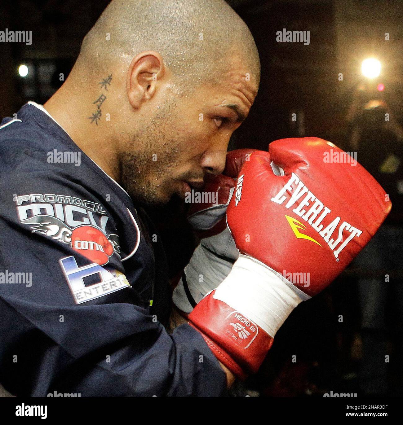 Puerto Rican Sports Boxing