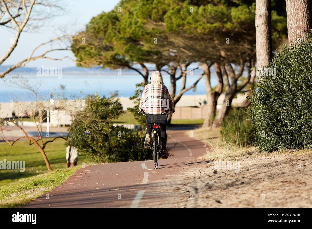 Person riding a bicycle on a cycle path Stock Photo - Alamy
