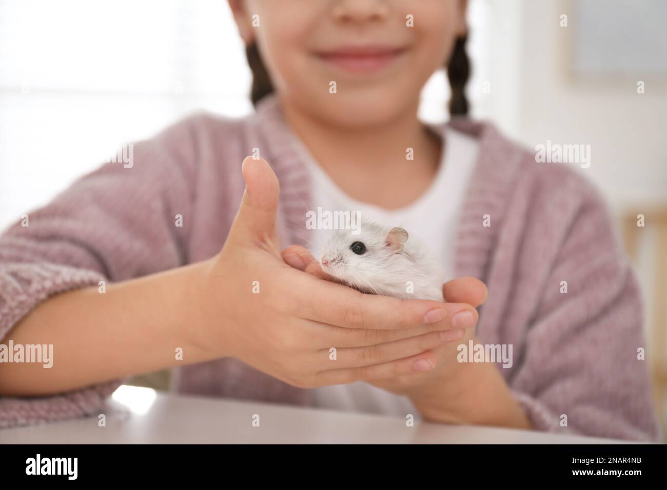 Little girl with cute hamster at home, closeup Stock Photo - Alamy