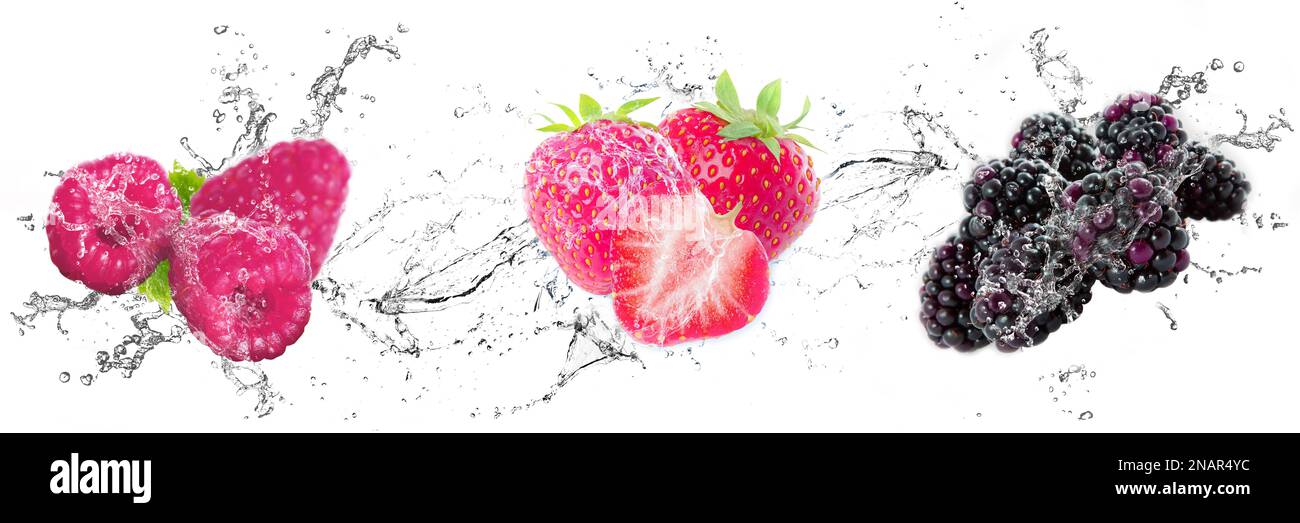 Render graphic with Strawberry, Blackberry and Raspberry. Picture with ...