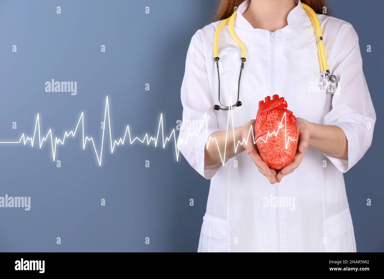 Doctor holding model of heart on color background, closeup Stock Photo ...