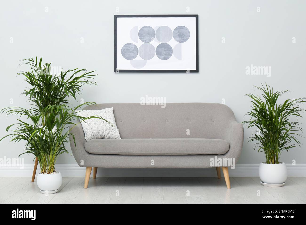 Exotic house plants with comfortable couch in room interior Stock Photo ...