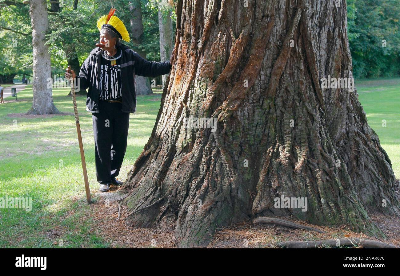 Indigenous chief Raoni from the Kayapo reservation in the Brazilian ...