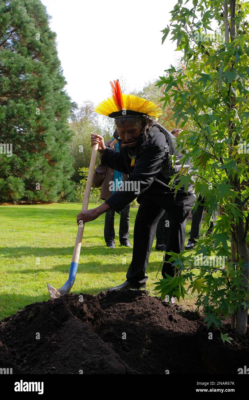 Indigenous chief Raoni from the Kayapo reservation in the Brazilian ...