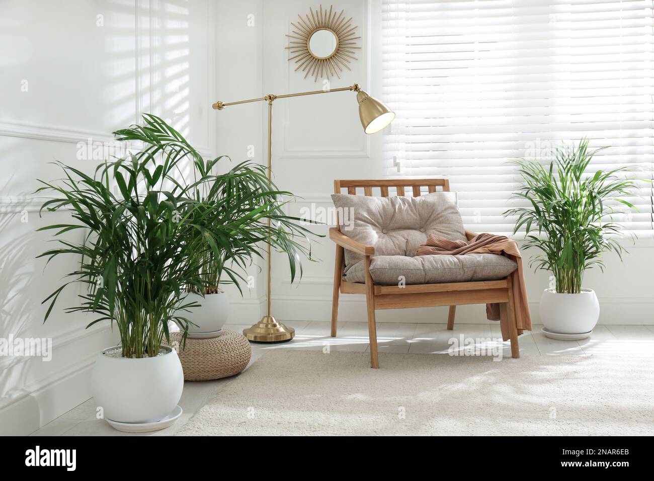 Stylish room interior with exotic house plants Stock Photo - Alamy