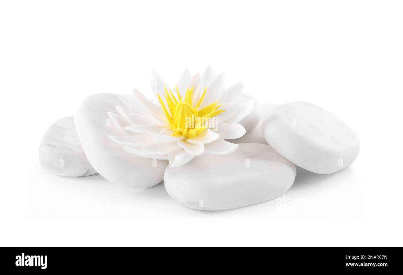 Beautiful lotus flower and stones on white background Stock Photo - Alamy