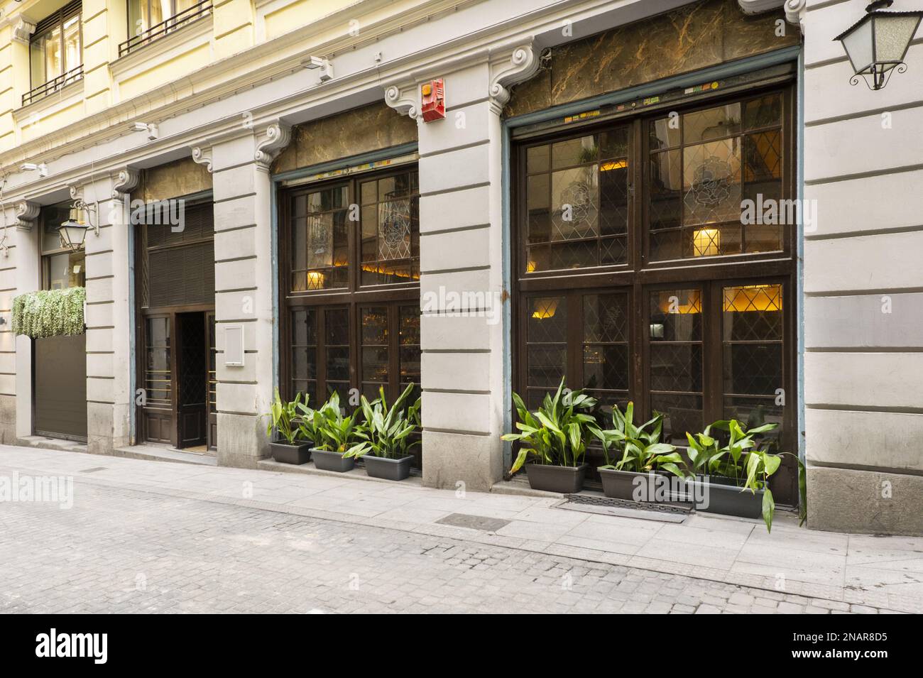 Entrance facade of an Irish pub style restaurant with potted plants and ...