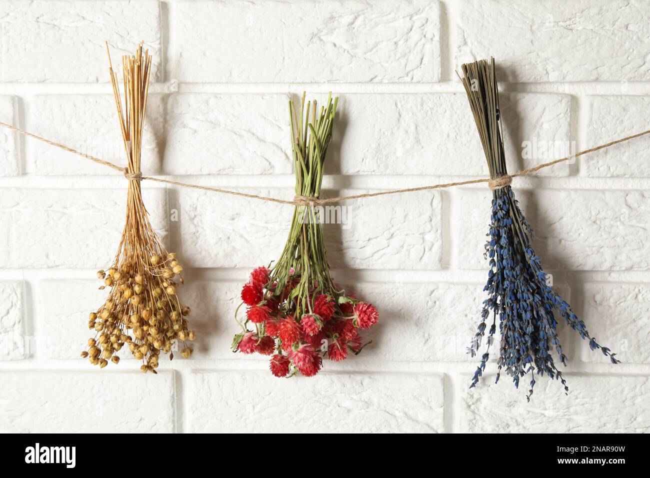 Bunches of beautiful dried flowers hanging on rope near white brick ...